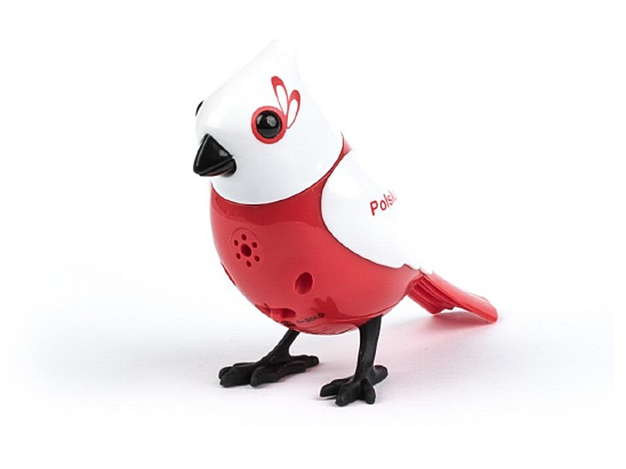 Interaktywna zabawka Silverlit Digibirds Polska | centrumelektroniki.pl