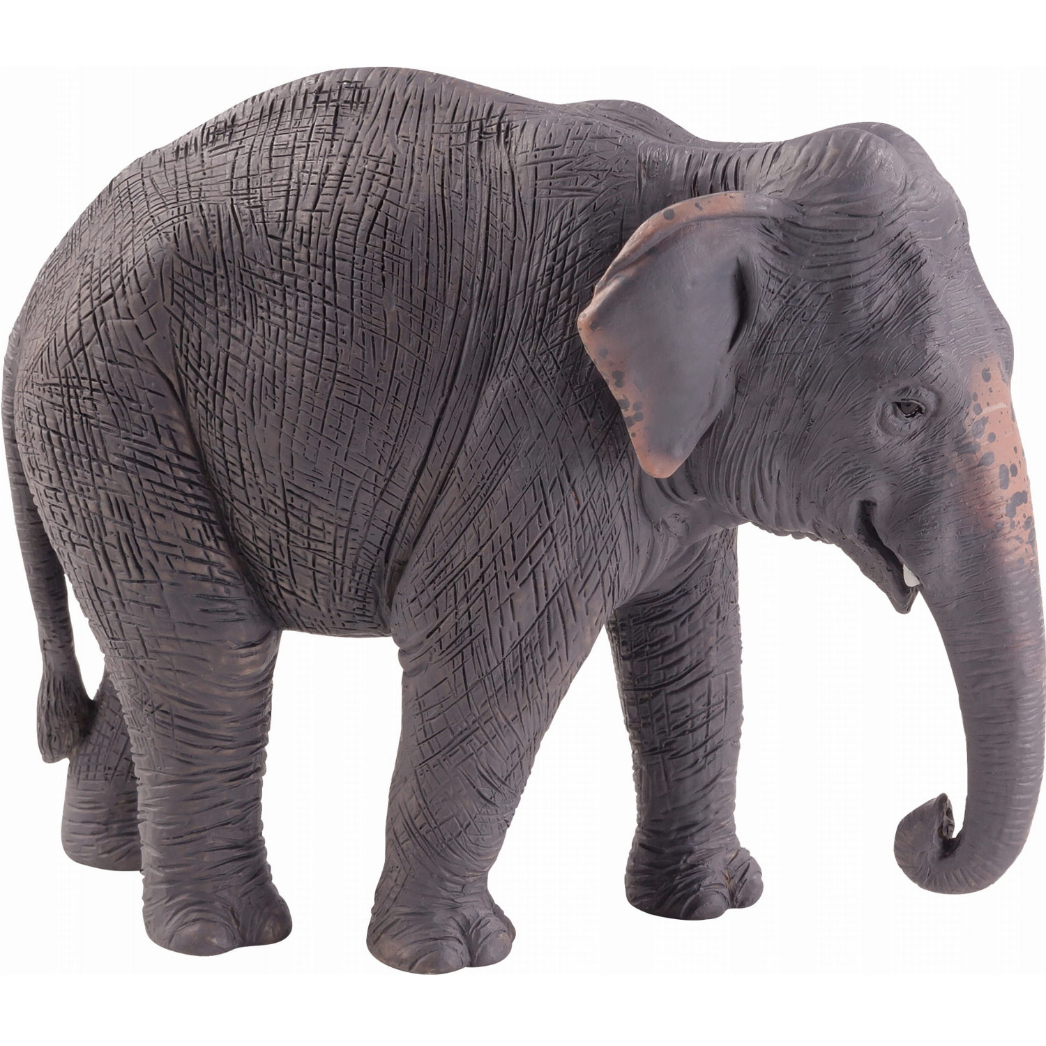 Figurka Mojo Animal Planet Słoń azjatycki 387266 XL | centrumelektroniki.pl